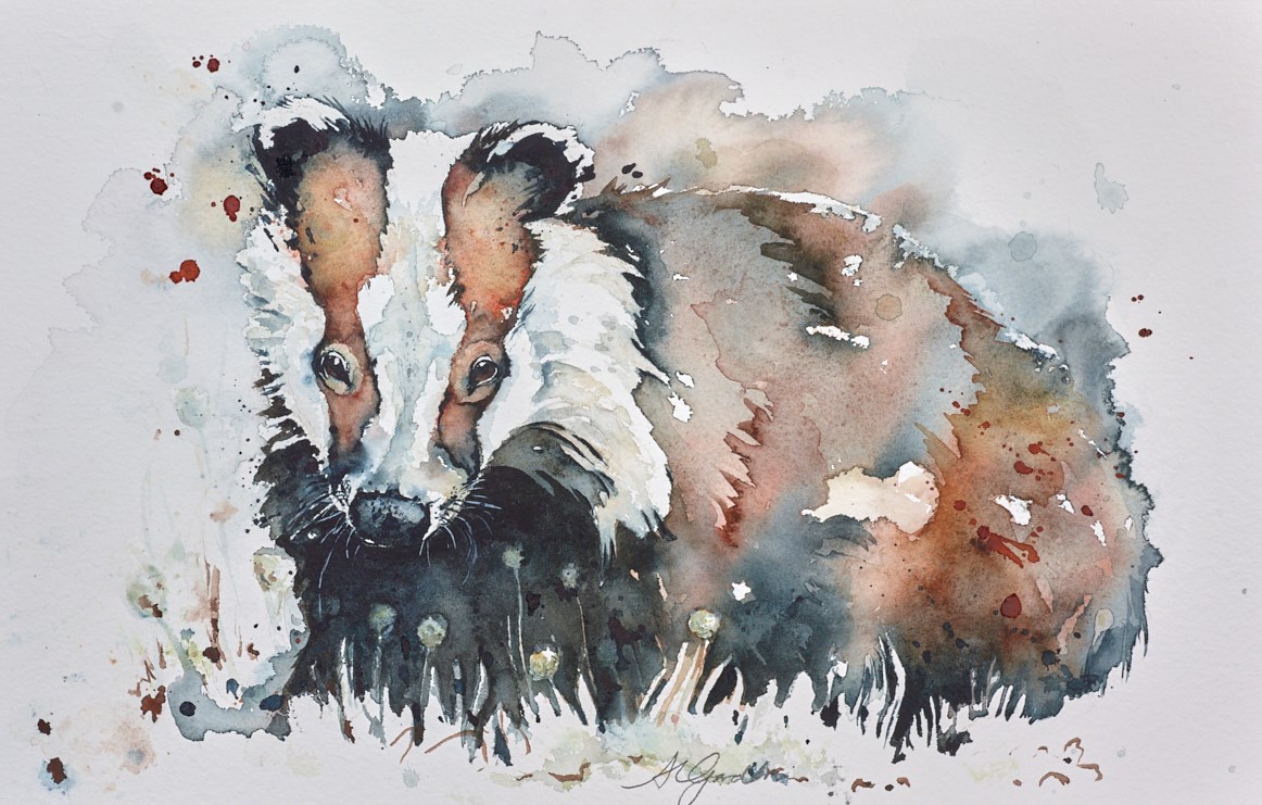 Amanda Gordon | DeMontfort Fine Art